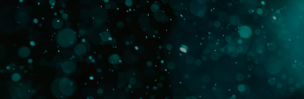 Bundles - Eighty Sixed