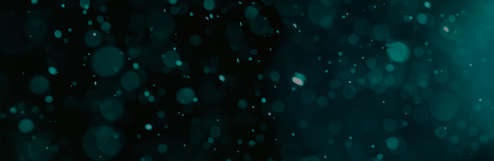 Bundles - Eighty Sixed